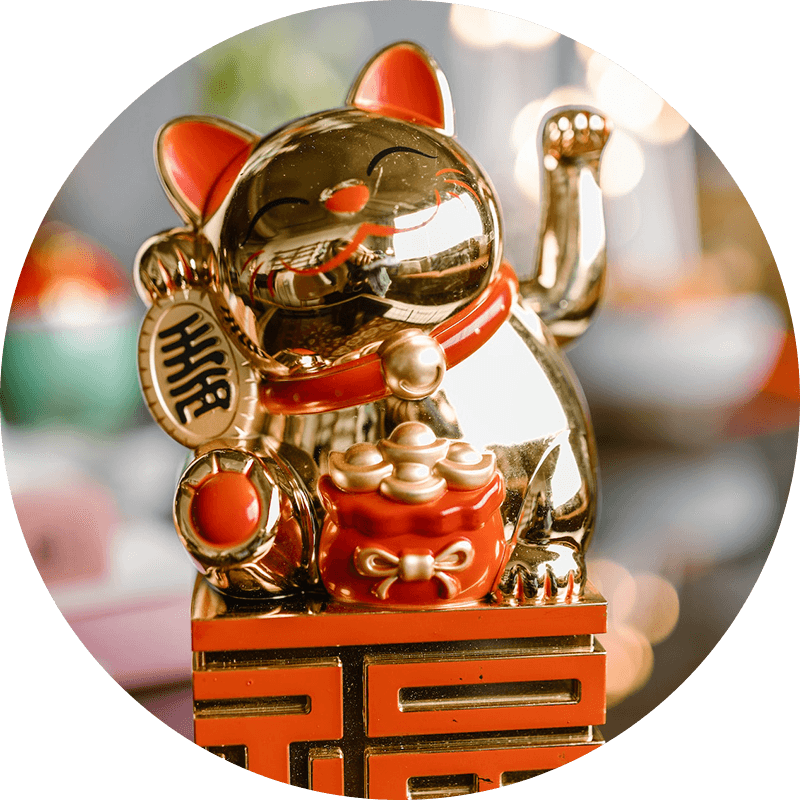 Menus Enfant | Le Saké Bon